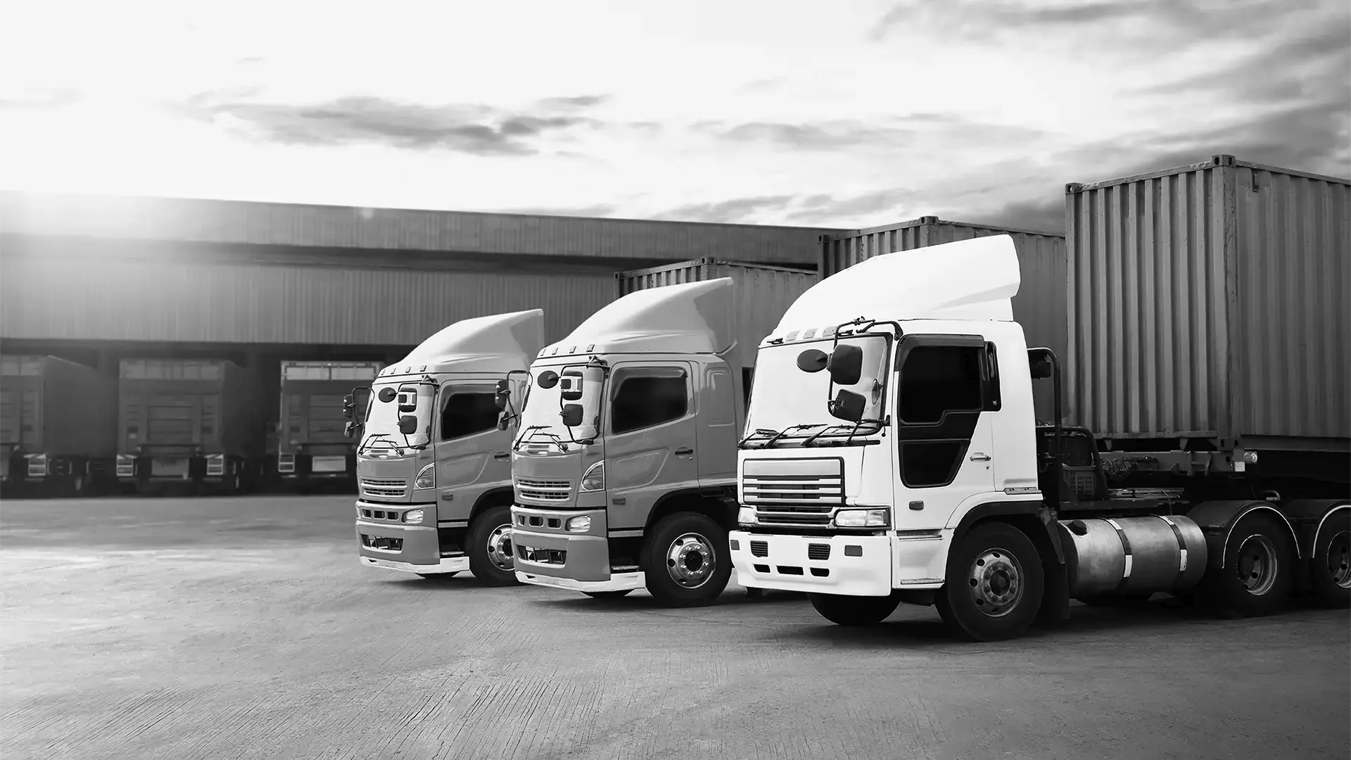 Transport and Distribution