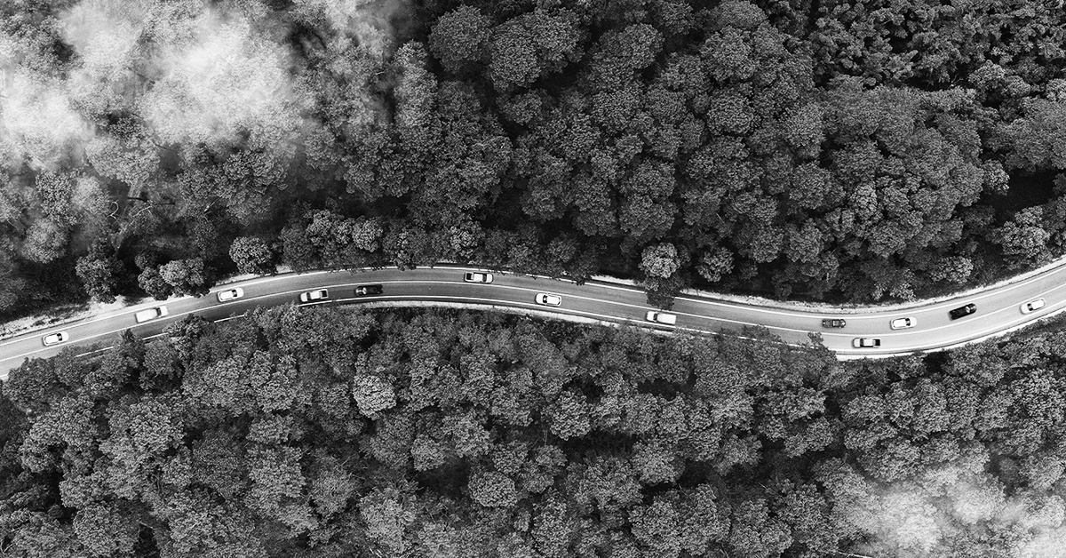 Transport and Distribution