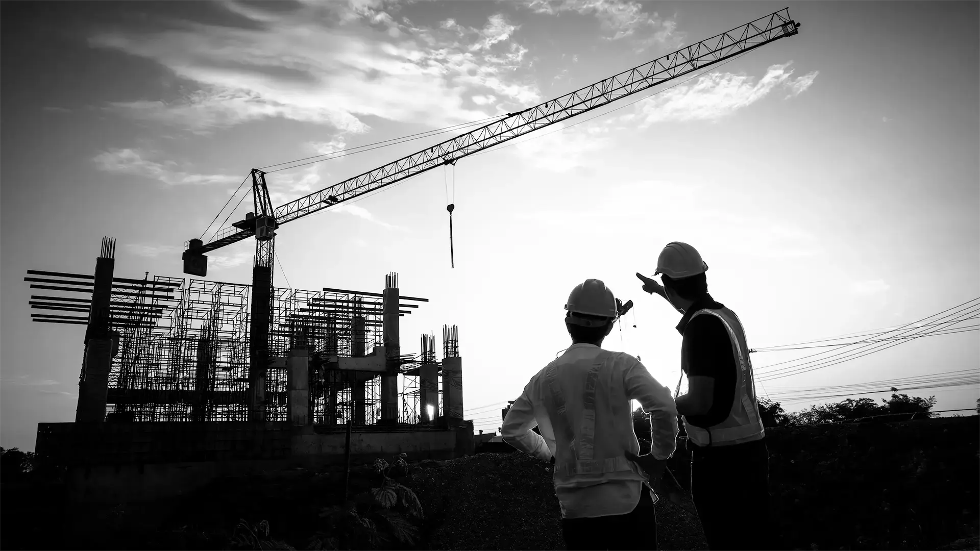 Programme Management